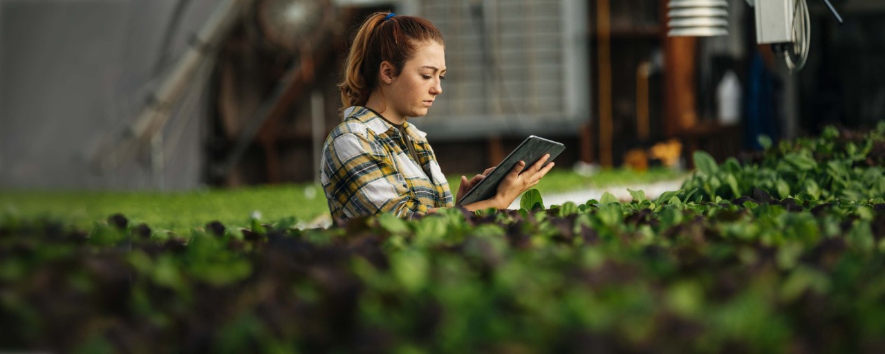 Agriculture Lines of Credit | National Bank of Arizona